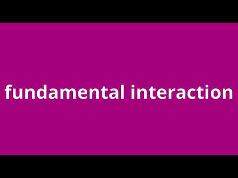 what is the meaning of fundamental interaction