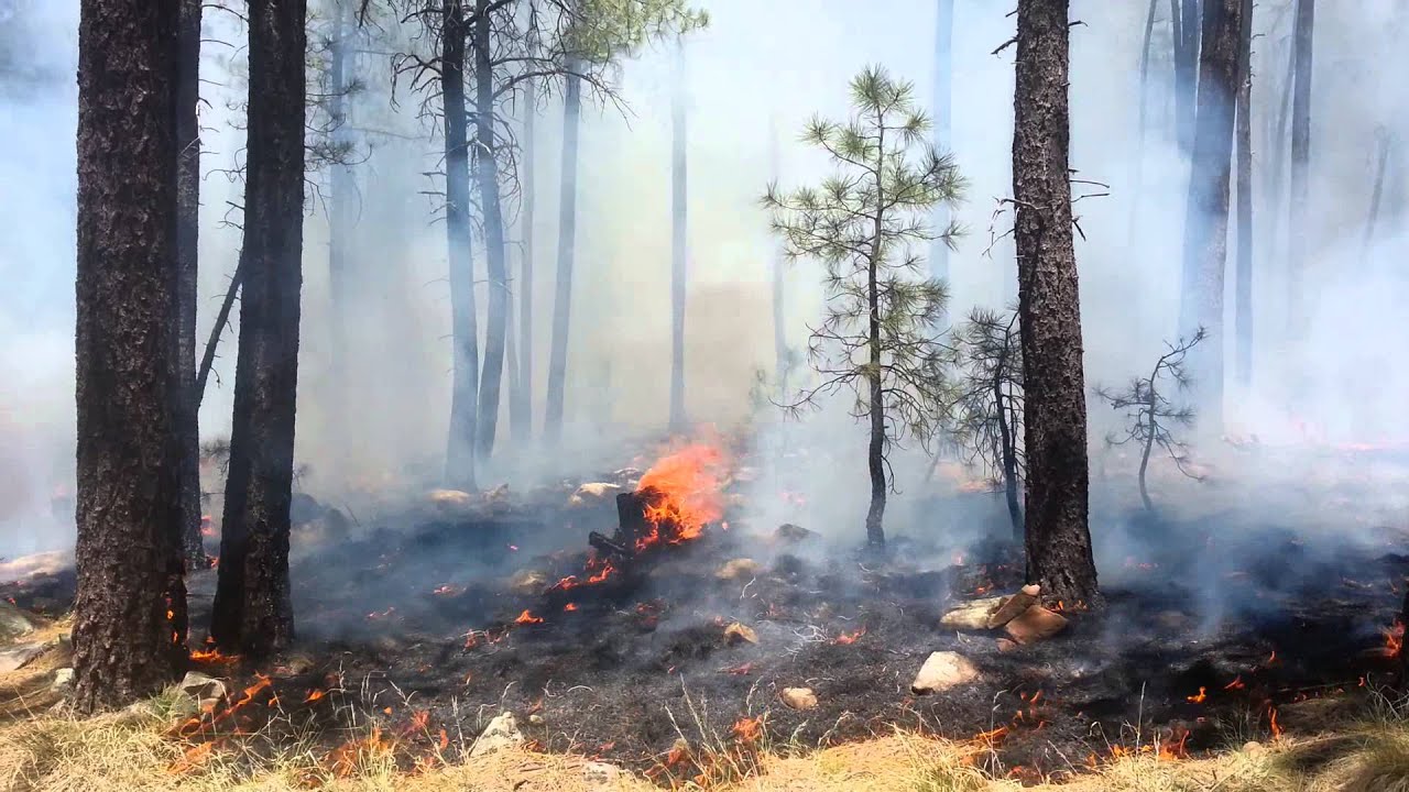 Forest Lakes, AZ Wildfire