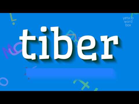 How to say "tiber"! (High Quality Voices)