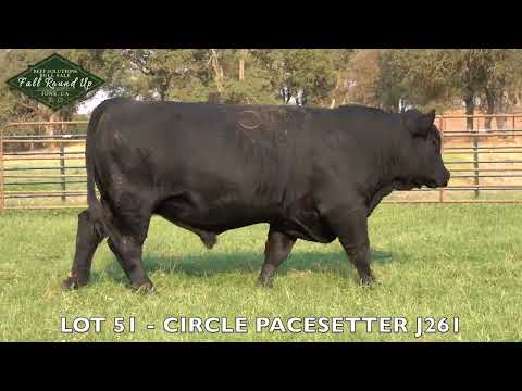 LOT 51 CIRCLE PACESETTER J261