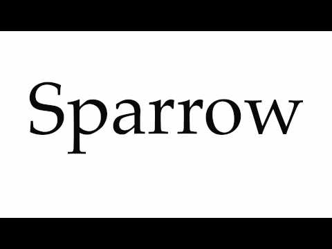 How to Pronounce Sparrow
