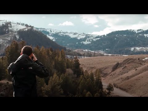 Gavin Forster: A Week in the Wild