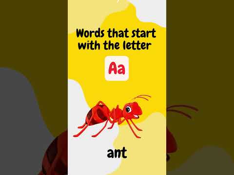 Words that start with the letter Aa