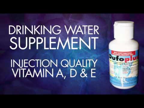 Dufoplus - Health Product for Racing Pigeons