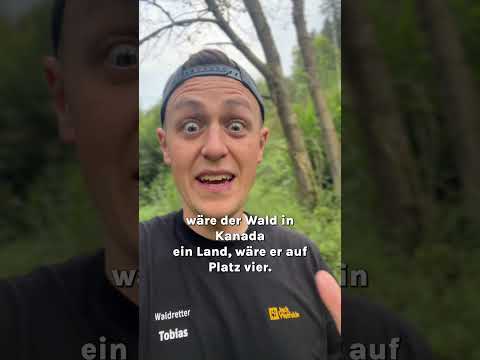 WaldbrÀnde in Kanada