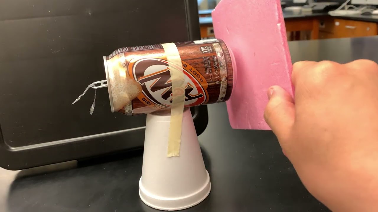Electrostatics Activity 3b LeafElectroscope Scenario #4-6