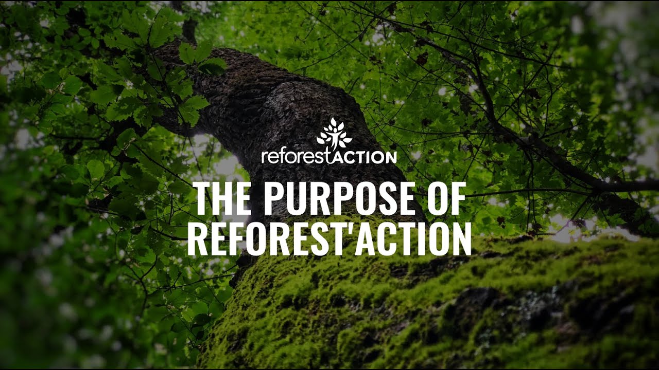 The purpose of Reforest'Action