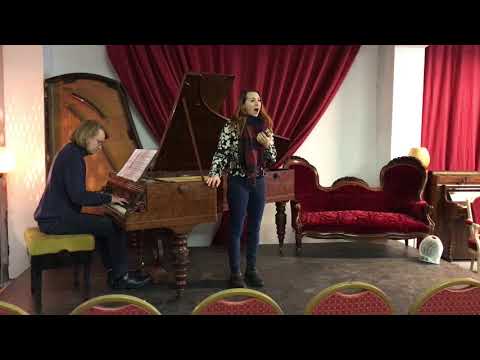 Pleyel grand piano 1846.