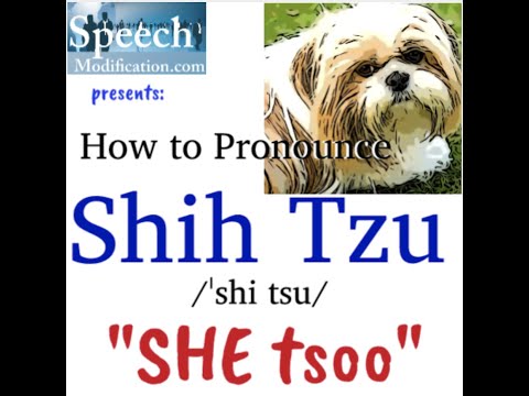 How to Pronounce Shih Tzu