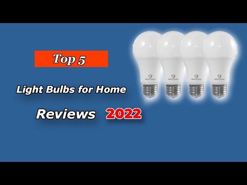 The Best Light Bulbs for Home (Top 5 Choices in 2025)