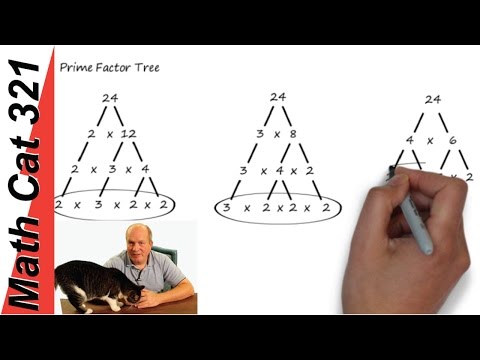 How to Construct a Prime Factor Tree - MathCat Math Hacks ✔