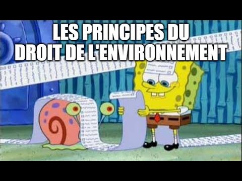 Les principes du droit de l’environnement