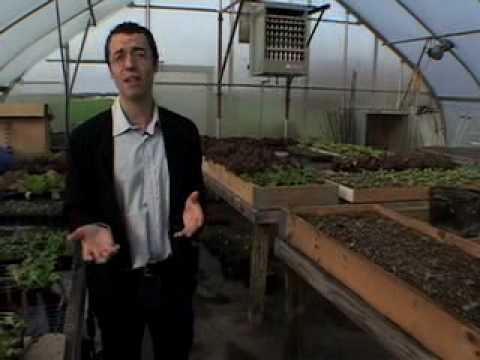 Eat Here: a haven for food safety fighters to Slow Food love