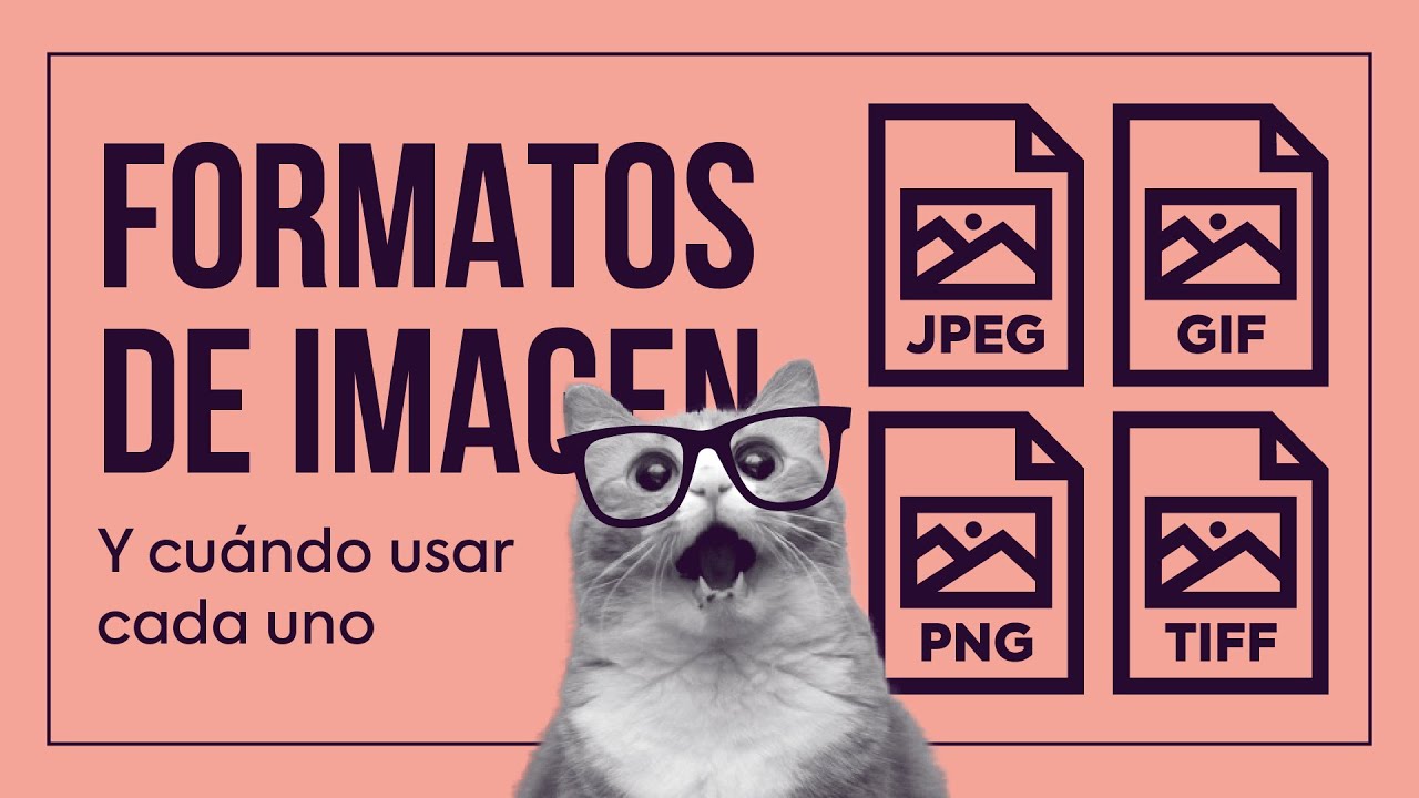 🖼️ Image formats for BITMAPS: JPG, GIF, PNG and TIFF