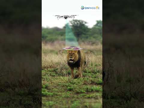 Drone with computer vision software is revolutionizing wildlife conservation