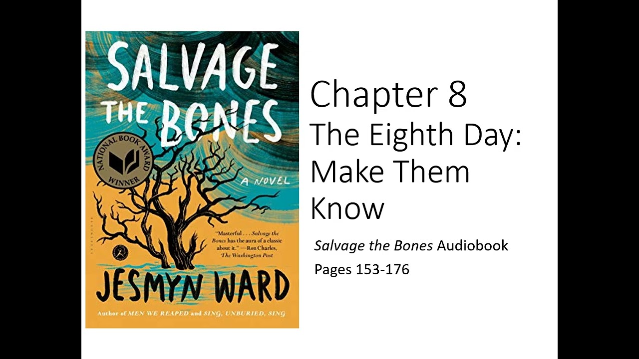 Salvage the Bones, Chapter 8: Audiobook