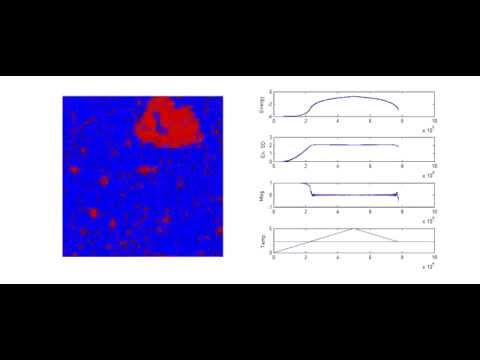 Monte Carlo Simulation of a temperature scan in the Ising model