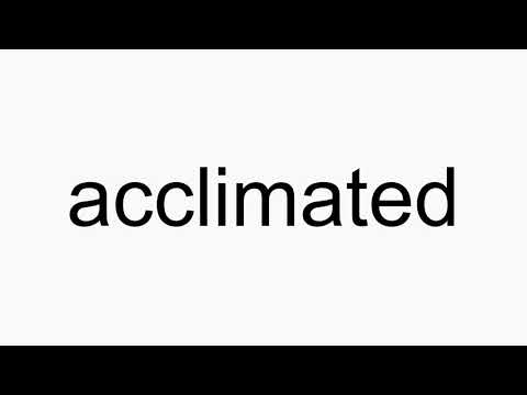 How to pronounce acclimated