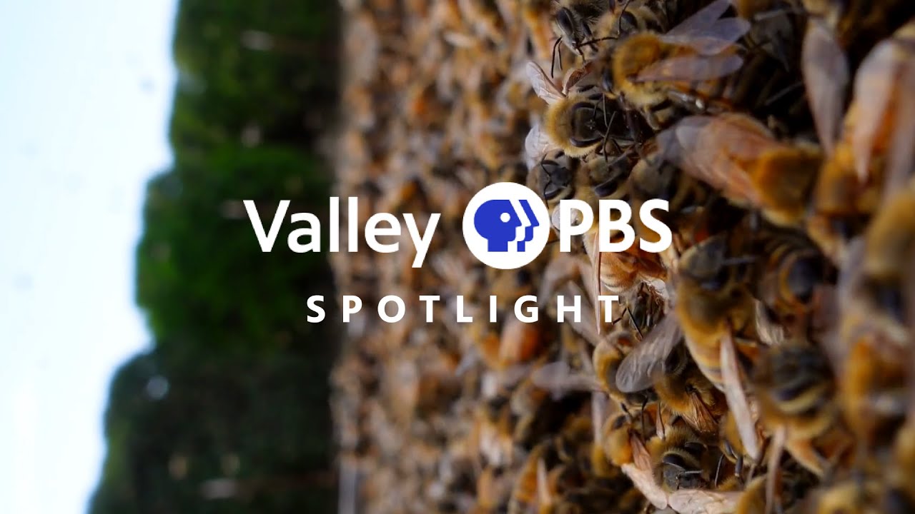 Valley PBS Spotlight - Valley PBS