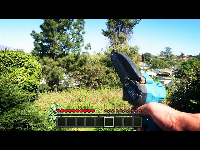 Who is Minecraft Dirt Block Guy? TikTok star goes viral after dyeing ...