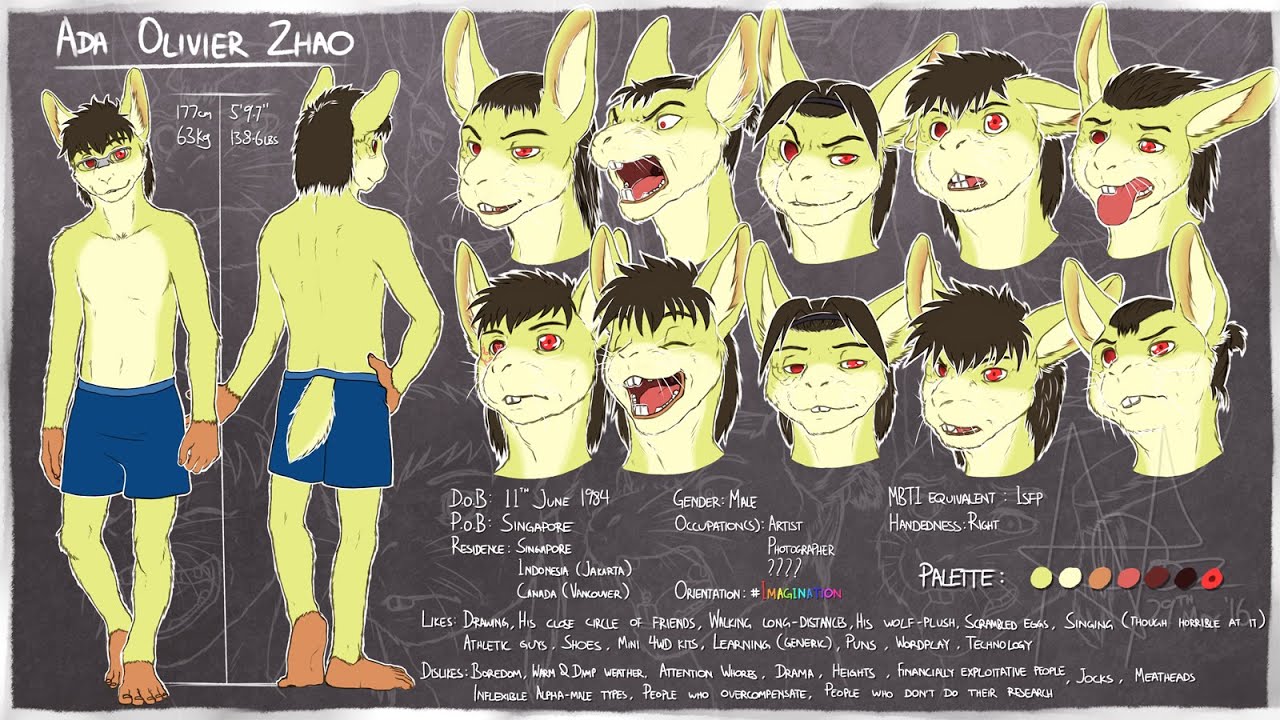 Ada 2016 Ref Process