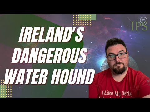 Ireland's Dangerous Water Hound - Jon O'Sullivan - Irish Pagan school