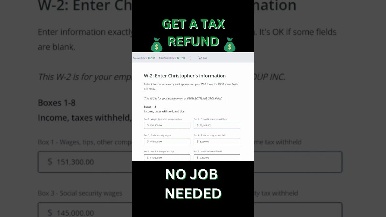 $20,000 Tax Return With No Job