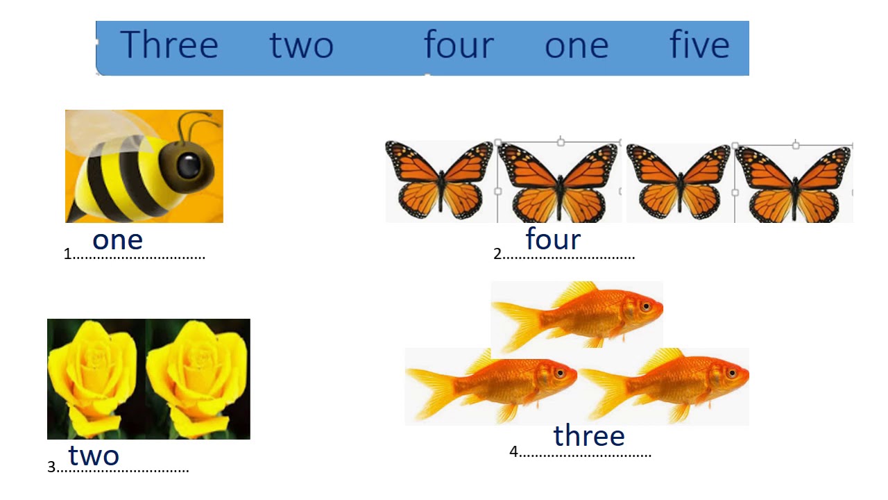 tinytalk 1a unit 6