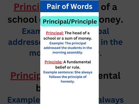 Pair of Words Principal/Principle #vocabulary