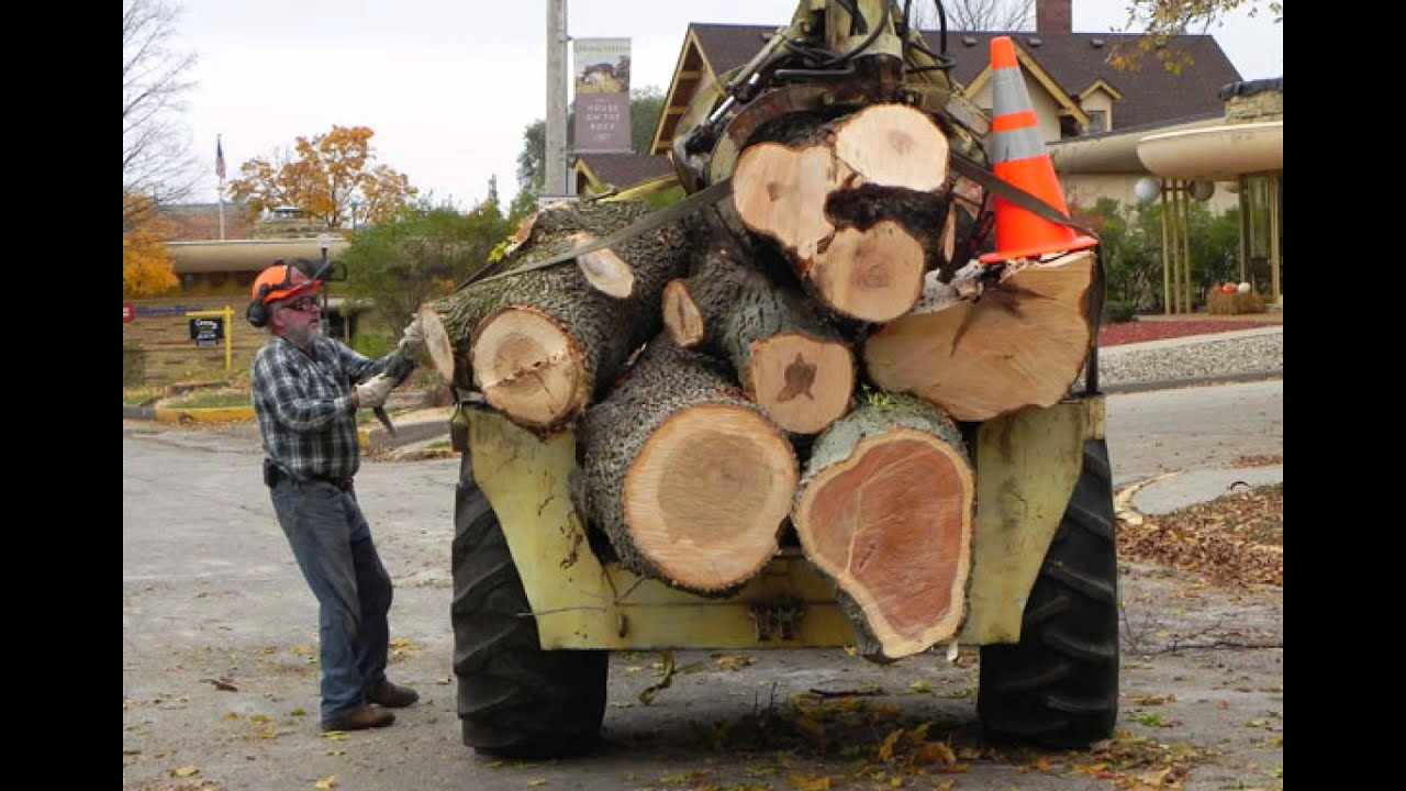 Saving Spring Green Urban Trees