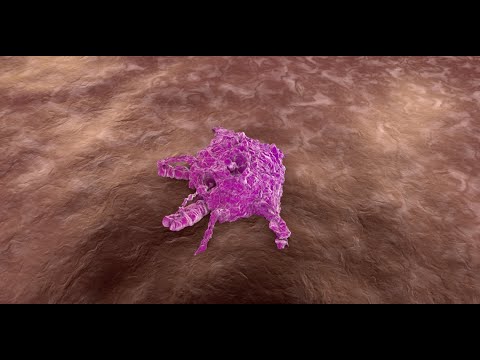 Common cancers for Malaysian according to race, state, age and gender.根据种族、州属、年龄和性别,马来西亚人常见的癌症有哪些?