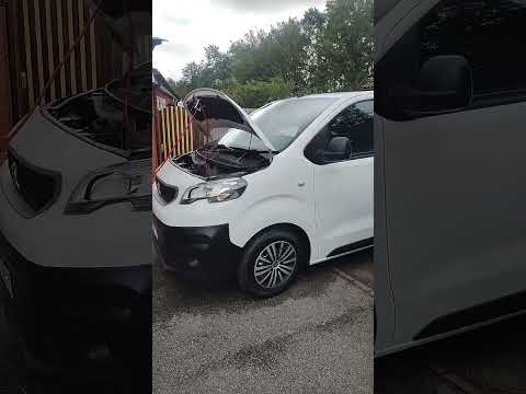 Peugeot Expert 2.0 HDi Remap & Revive job