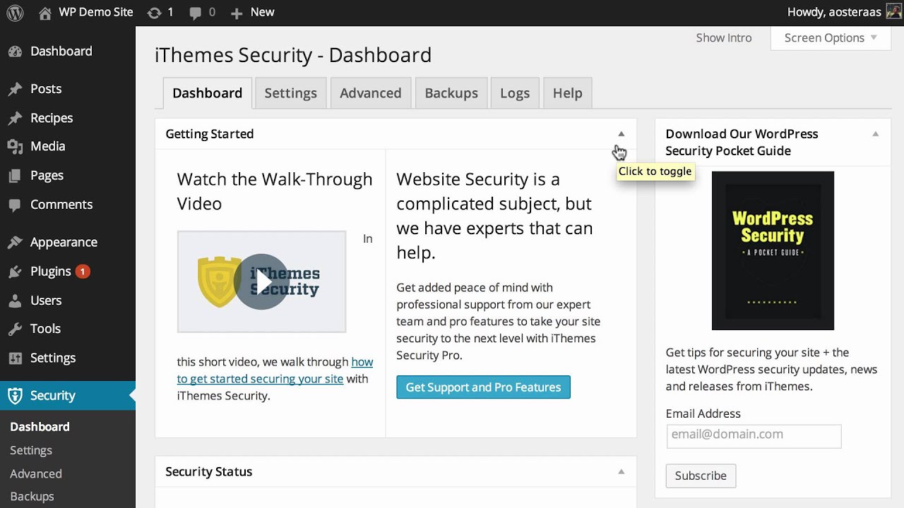 Introducing iThemes Security for WordPress