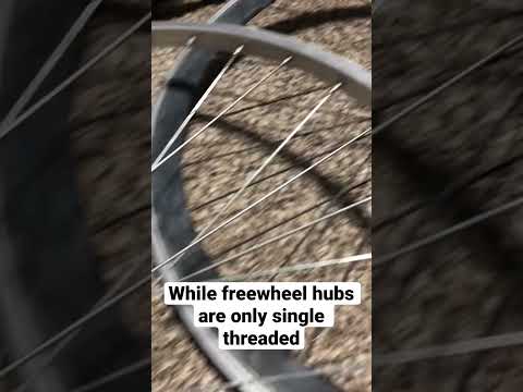 Fixed gear vs freewheel hubs