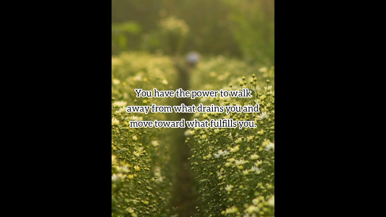 Daily Reminder (61) You have the power to walk away...📌