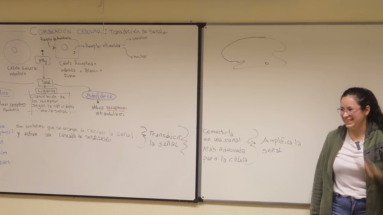 Clase 28. Señalización Celular. I
