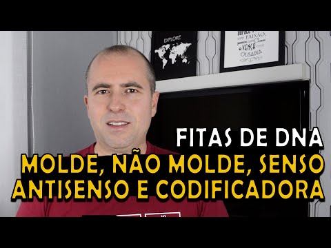 Fita de DNA molde, não molde, senso, antisenso e codificadora. Aprenda a nomear corretamente!