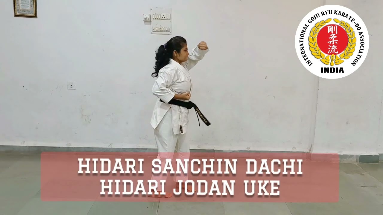 Kihon Kata - Jodan Shodan