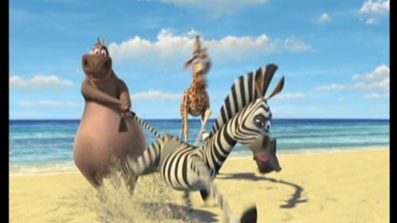 madagascar technical 2005