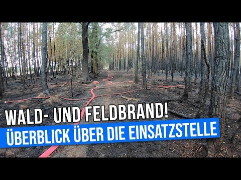 Feld- und Waldbrand: Überblick über die Einsatzstelle