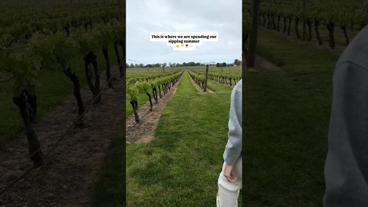 This is what I mean when I say “let’s go wine tasting” 😍🍇🍷