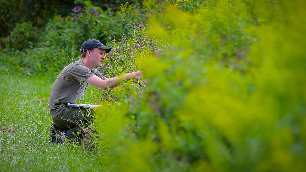 Forestry students learn to use a versatile tool