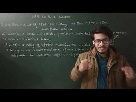 L12: Steps in Plant Breeding by Vipin Sharma