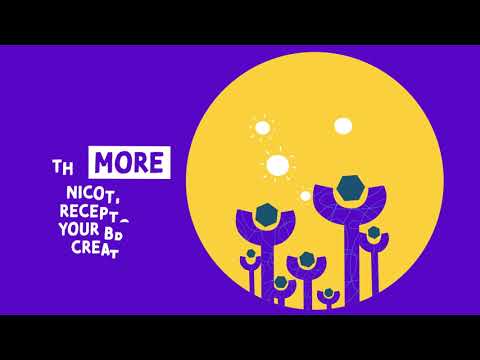 Choose your peace of mind