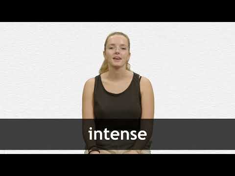 English Translation of “INTENSE” | Collins French-English Dictionary