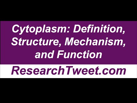 Cytoplasm: Definition, Structure, Mechanism, and Function