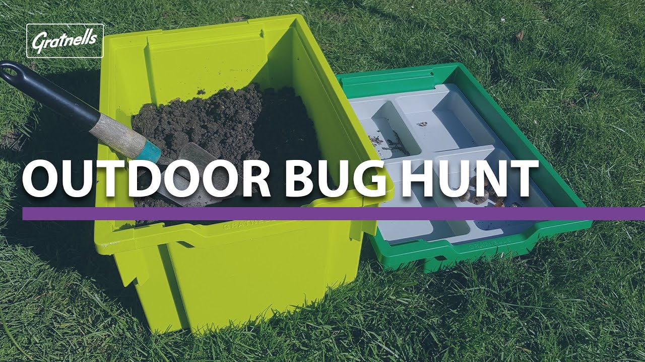 #WhatsInMyTray - Outdoor Learning - Make an Outdoor Bug Hunt