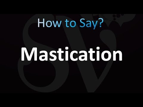 How to Pronounce Mastication (correctly!)