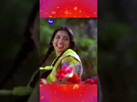Emiti Gapa Chali Thiba | Akhaya Mohanty | Album #sidharthmusic #sidharthtv
