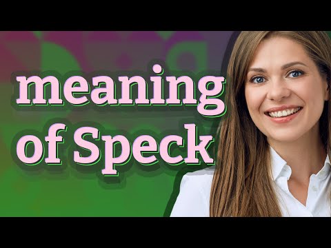 Speck | meaning of Speck